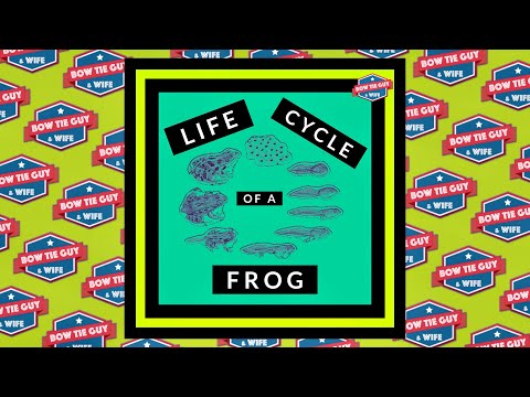 Life Cycle of a Frog (Student Instructional Video)