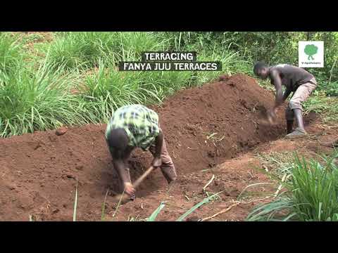 Soil and Water Conservation