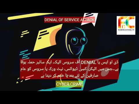 Denial of service attack(DoS)- Cyber crime review blog in Urdu| 1 Min documentary| FNCTV Sci & Tech