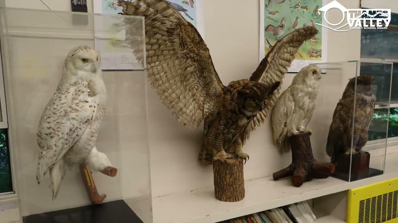 Jaffa Environmental Education Centre