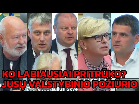 SUSIKERTA: Skvernelis, Žemaitaitis, Čmilytė, Šimonytė, Ąžuolas, Gentvilas - Valstybės gynimo fondo