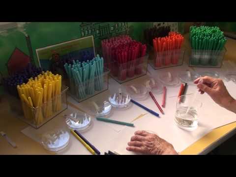 Colour Investigations A paper chromatography experiment for young children