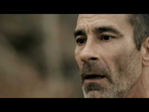 Cage The Elephant - Shake Me Down Lyrics And Videos