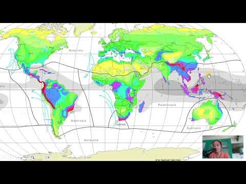 species diversity