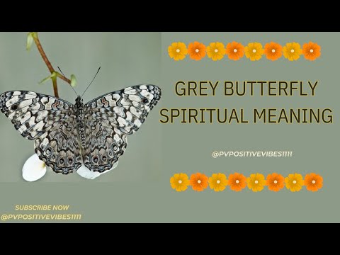 GREY BUTTERFLY MEANING // WHY ARE YOU SEEING GREY BUTTERFLIES