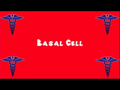 Pronounce Medical Words ― Basal Cell