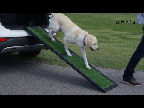 ORVIS - Natural Step Portable Dog Car Ramp