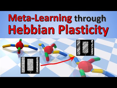 Meta-Learning through Hebbian Plasticity in Random Networks (Paper Explained)