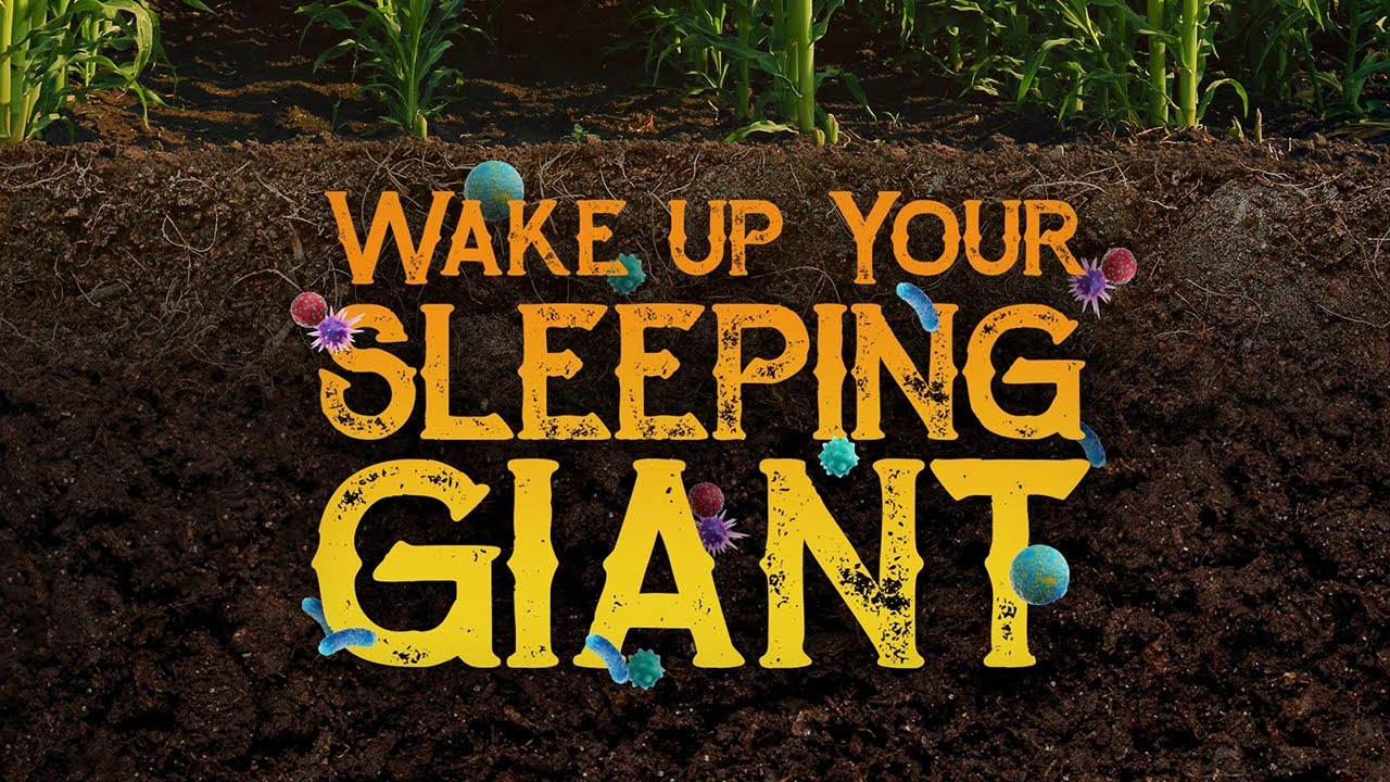 Is Your Soil Sleeping on the Job? | Wake Up Your Sleeping Giant: Soil Microbes