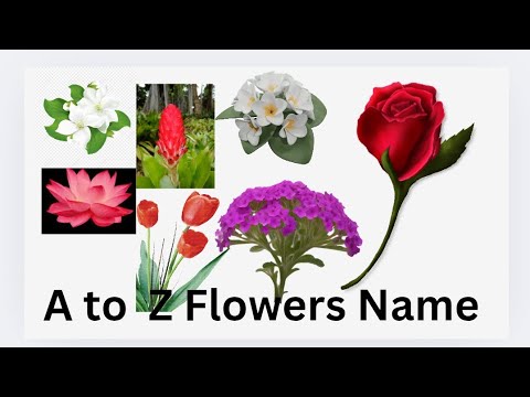 A to Z Flowers Name For Toddlers