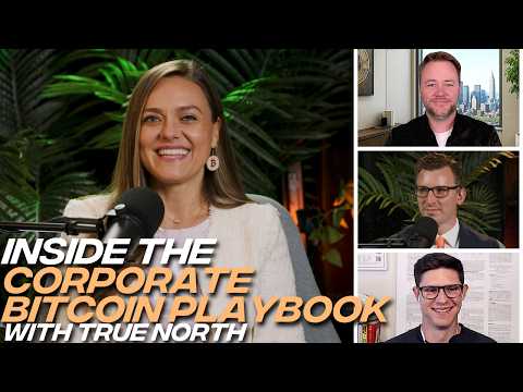 Bitcoin Treasuries: Hottest Stocks in the Market? True North on Digital Transformation of Capital