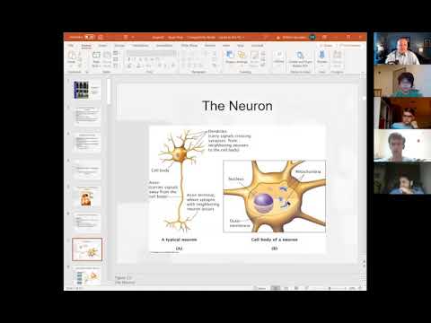 Biological Basis of Behavior