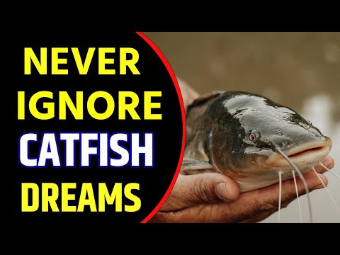 Catfish Dream Meaning | Dreaming of Catfish | Catfish Dream Interpretation Spiritual Meaning