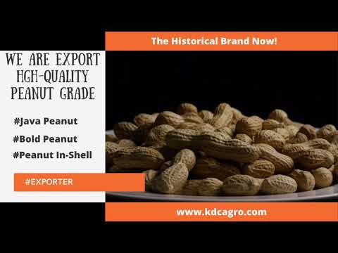 Groundnut Shells at Best Price in India