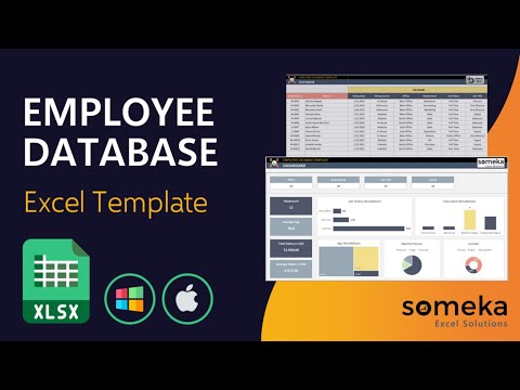 Employee Database Template | Record, track and analyze HR data in Excel!