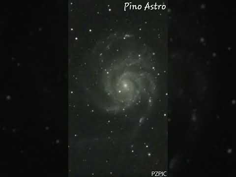 Pinwheel Galaxy (M101)- Unedited #Seestar #PinoAstro