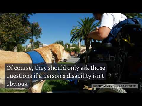 Service Animal ADA Question