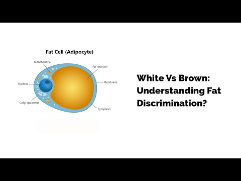 White Vs Brown: Understanding Fat Discrimination?