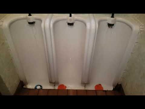 1920s Oates & Green, Halifax & London Urinals Flushing