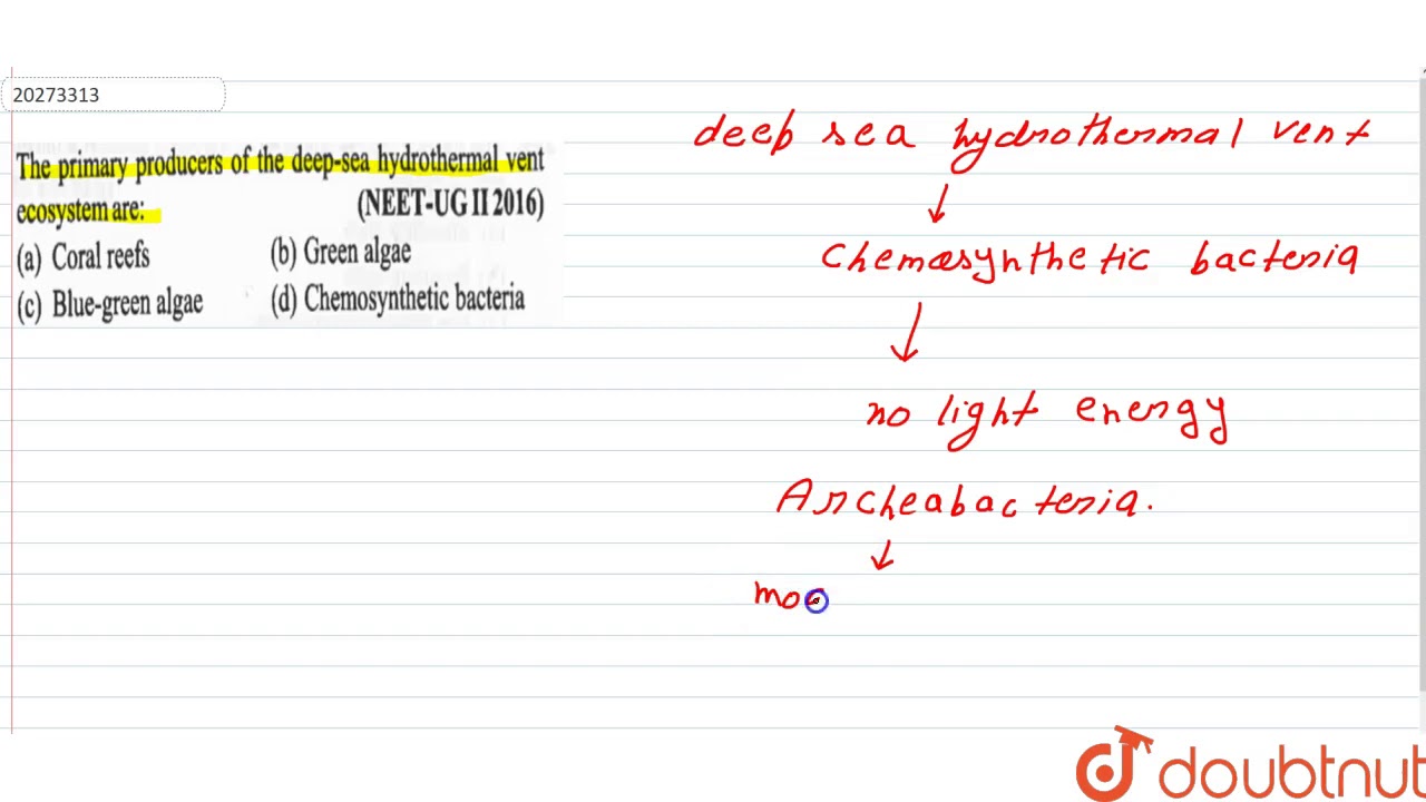 1 The New Hydrothermal Vent Ecosystem Adapted From Van