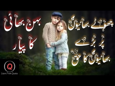 Beautiful Quotes about Brothers & Sister's Love |