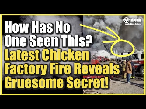How Has No One See This? Latest Chicken Factory Fire Reveals a Gruesome ...