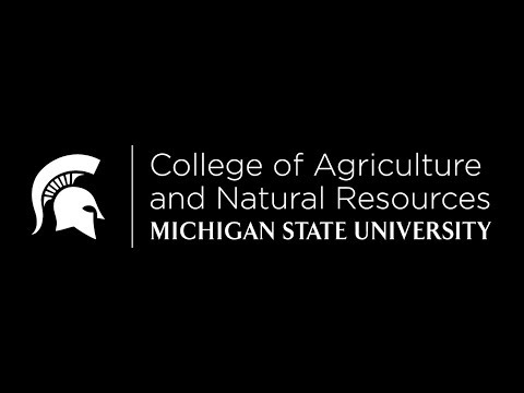 Statement from the CANR on Diversity, Equity and Inclusion
