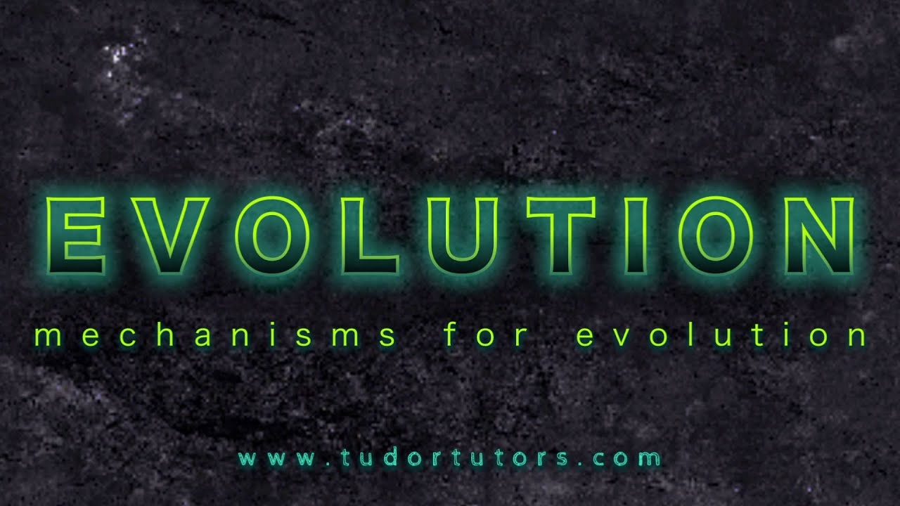 Evolution: Mechanisms for Evolution