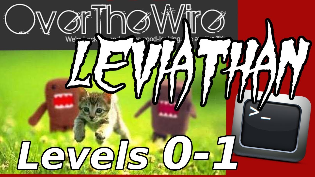Linux Hacking: strings & ltrace: Leviathan: OverTheWire (Levels 0-1)