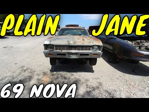 1969 Chevy Nova Junkyard Find