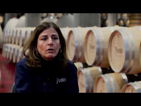 Spanish winemaker rushes US deliveries to beat possible tariffs | REUTERS