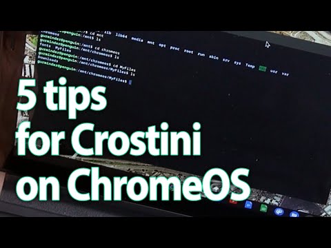 5 getting started tips for the Linux application support (Crostini) on ChromeOS