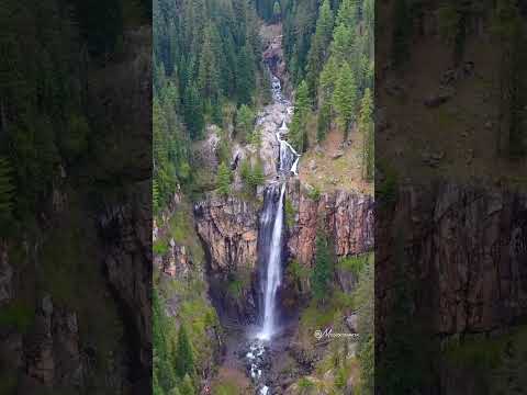 Nature Short Video #nature #explore #ytshorts