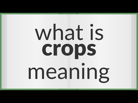 Crops | meaning of Crops