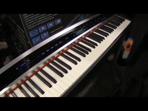 Viscount Physis Piano H2 Stagepiano Digitalpiano Physical | Reverb