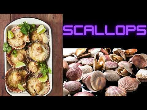 How to pronounce SCALLOPS | Speak Properly