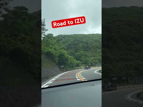 It's dizzying but the view is beautiful.. Road to IZUβ£οΈ2025.6.16#everyone #travel