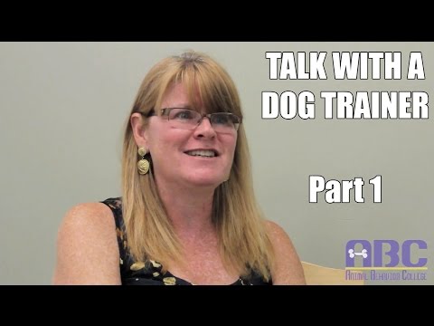 Talk With A Dog Trainer Part 1