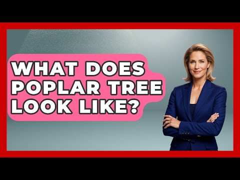 What Does Poplar Tree Look Like? - The Plant Enthusiast