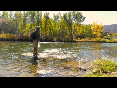 Exploring The Tailwaters of The San Juan