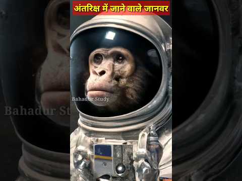 अंतरिक्ष में जाने वाले जानवर | Space Animals Fact | Space in Hindi.