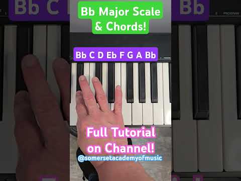 B flat Major Scale 🎹 #piano #pianotutorial #pianoscale