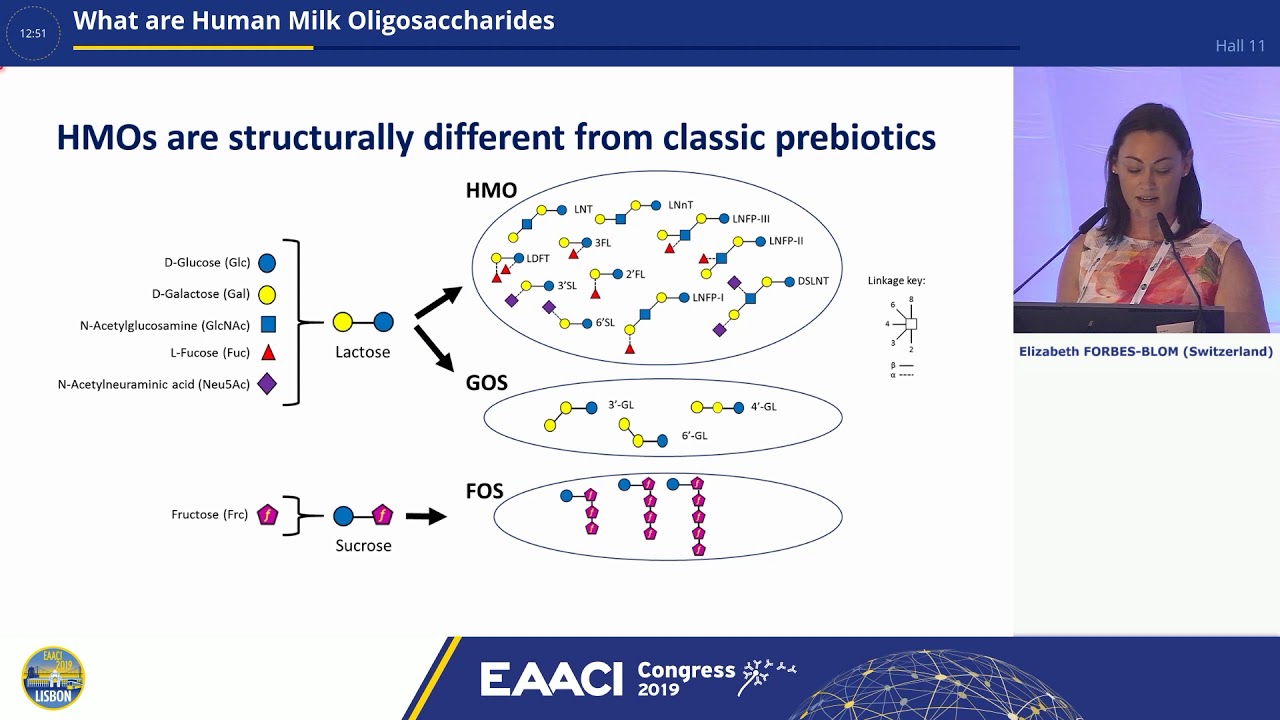 What are Human Milk Oligosaccharides? EAACI 2019 - Elizabeth Forbes-Blom