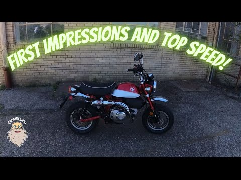 Honda Monkey First Impressions and Top Speed