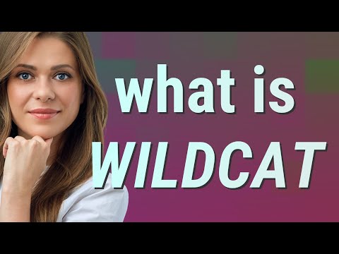 Wildcat | meaning of Wildcat