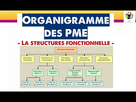 Les structures organisationnelles : Structure fonctionnelle (Organigrammes des PME)