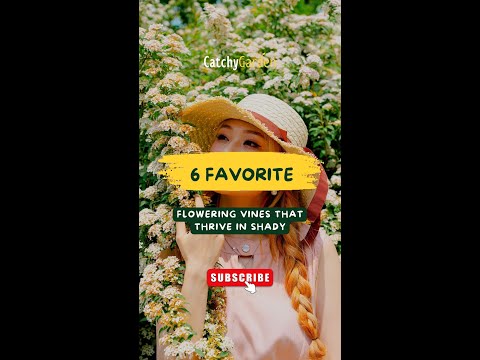 6 Favorite Flowering Vines That Thrive In Shady SpotsππΏπΈ// #short #shortsvideo