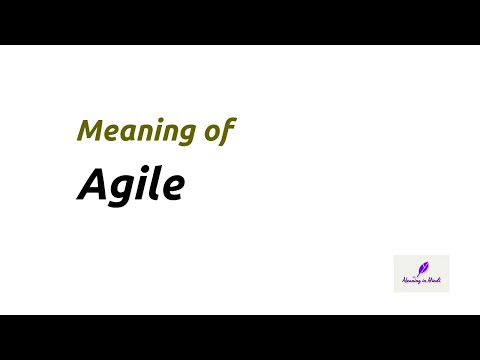 Meaning of "Agile" (Adjective) in Hindi | Agile का मतलब हिंदी में
