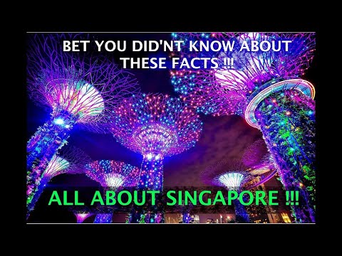 29 Fun Singapore Facts To Share With Your Friends | Facts About Singapore | Singapore Facts |