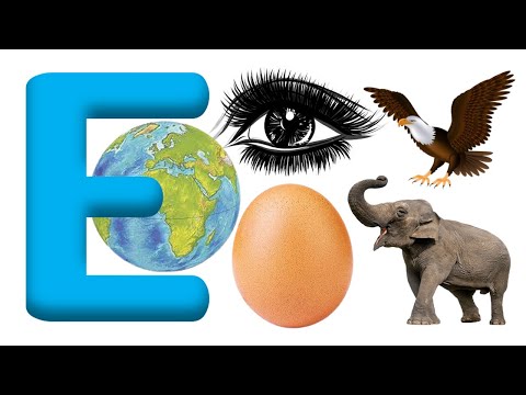 5 Words Starting with the Letter E | Letter E words | Words that starts with E